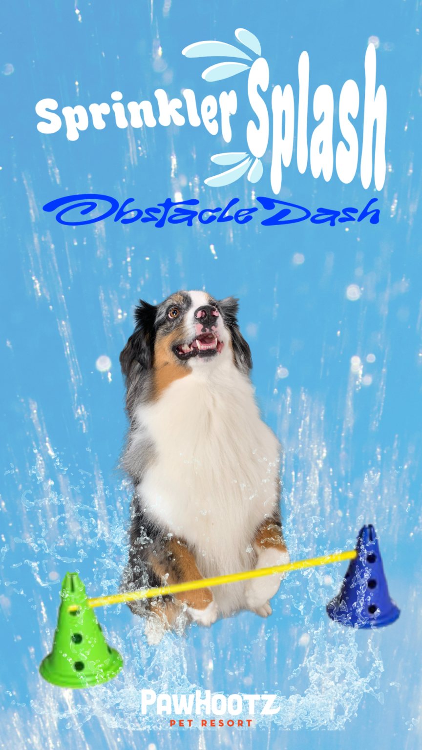 Sprinkler Splash Obstacle Dash - PawHootz Events and Specials