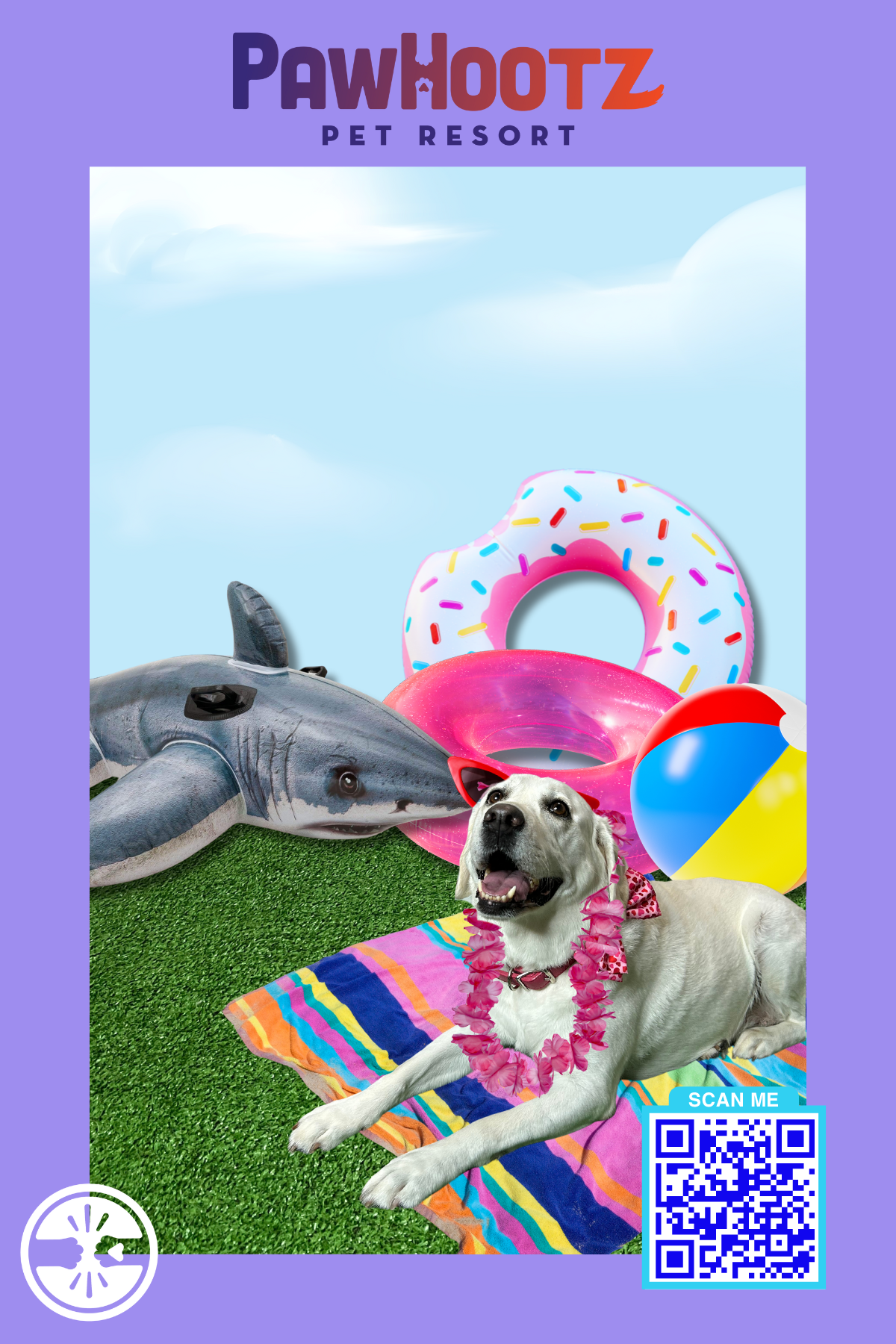 Pawsitive Poolside Vibes Photoshoot - PawHootz Events and Specials