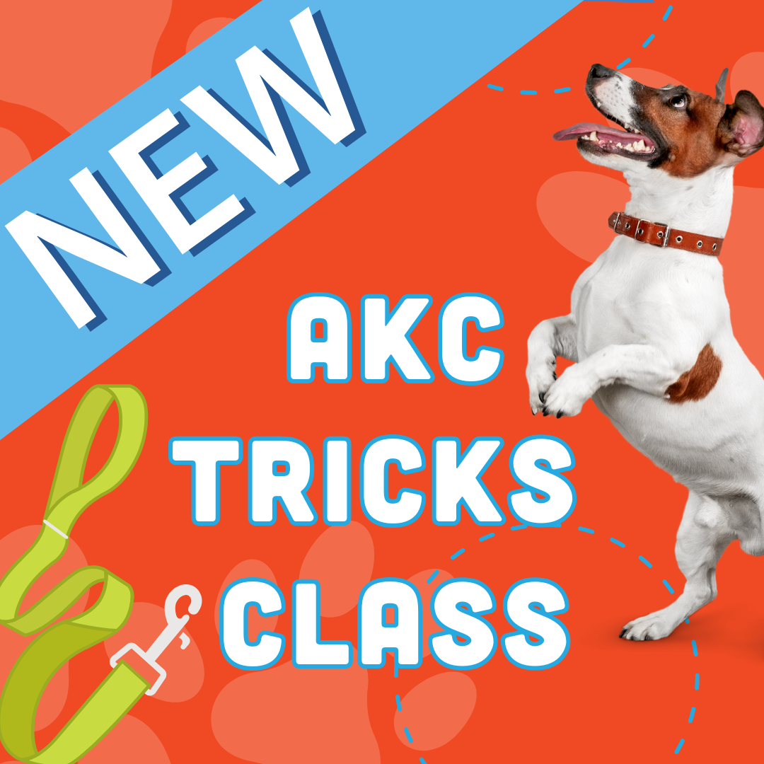 AKC Tricks Class - PawHootz Events and Specials