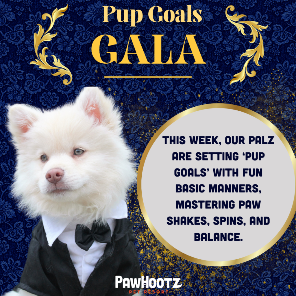 Pup Goals Gala Event - PawHootz Events and Specials