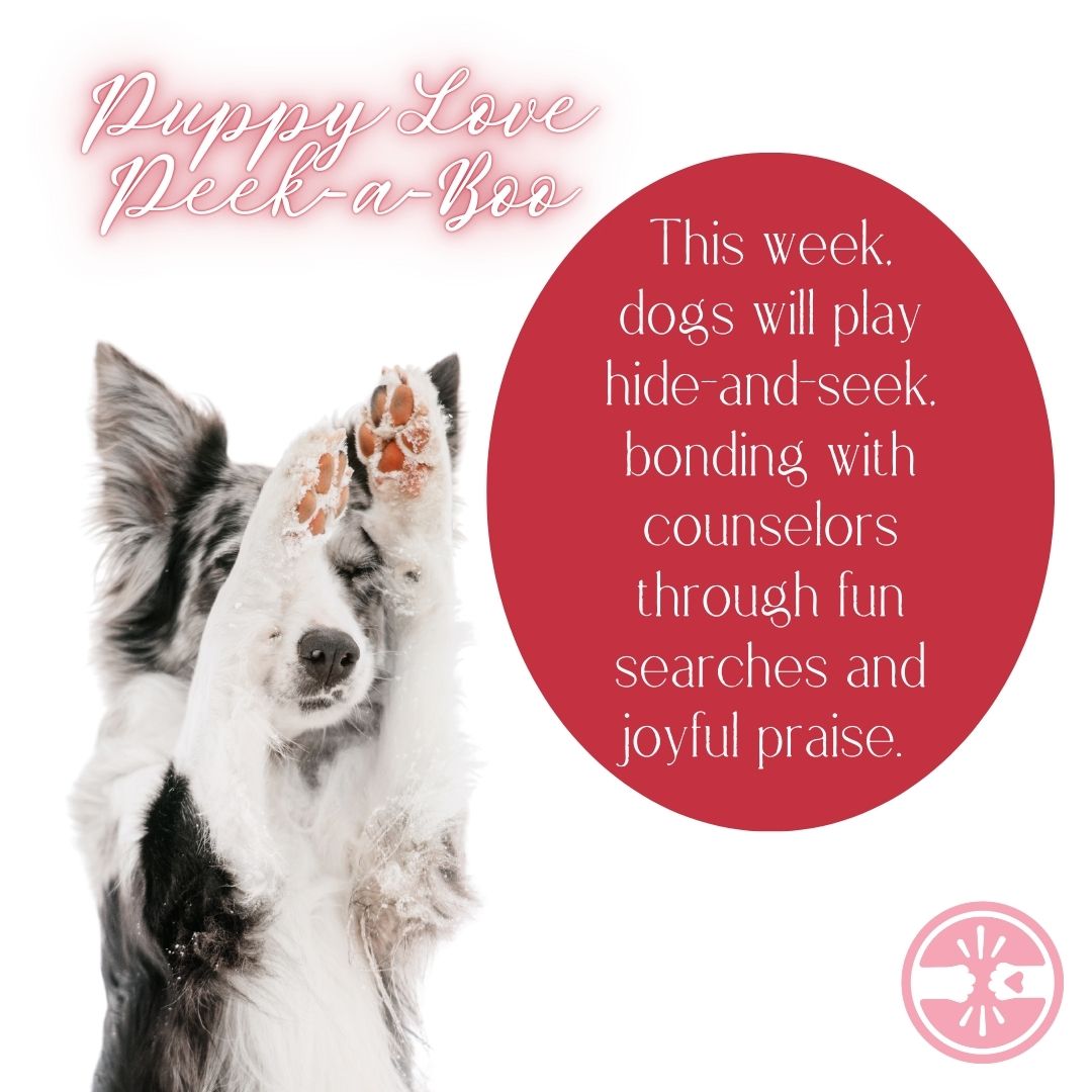Puppy Love Peek-a-Boo - PawHootz Events and Specials