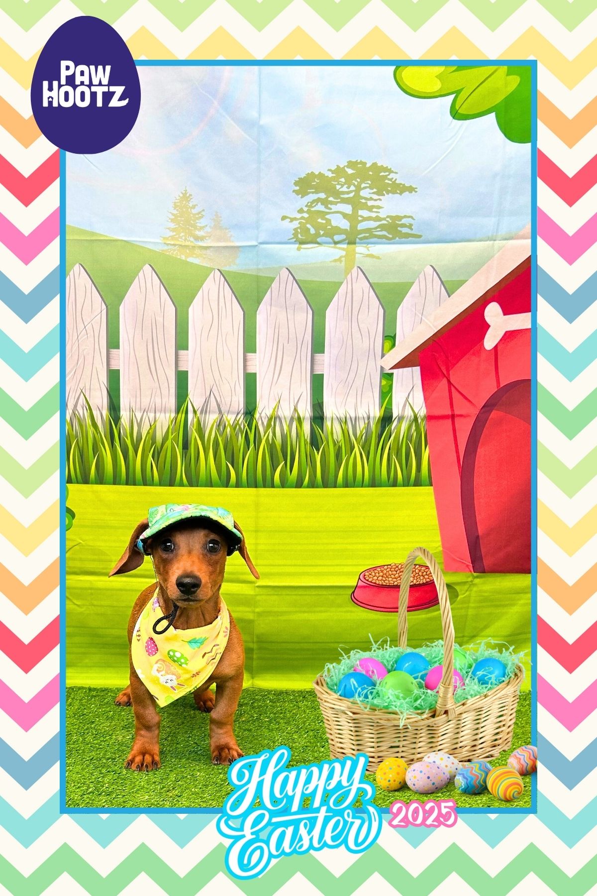 Spring into Easter Photoshoot - PawHootz Events and Specials