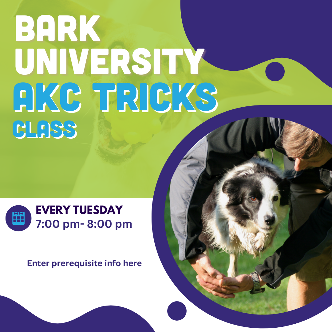 Bark University AKC Tricks Class - PawHootz Events and Specials